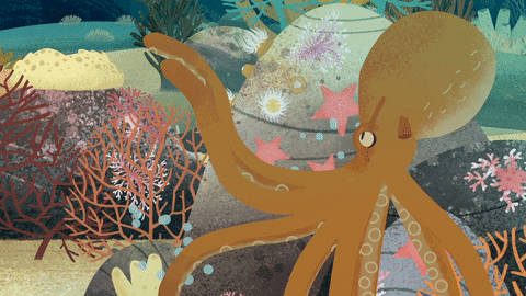 #Puffin #Rock #Puffinrock #Octopus #Wave #Hello #Bye GIF by Puffin Rock ...