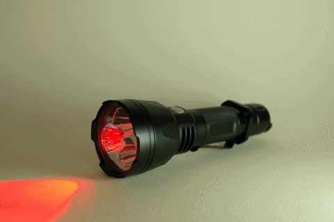 Flashlight GIF - Find & Share on GIPHY