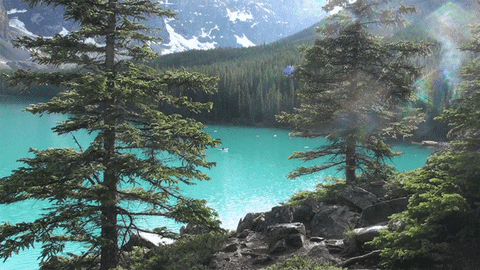 Moraine Lake GIFs - Find & Share on GIPHY