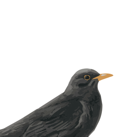 Bird Singing Sticker by RSPB for iOS & Android | GIPHY