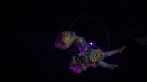 Cotton Candy Fall GIF by The Masked Dancer - Find & Share on GIPHY