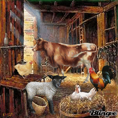 Animated GIF - Find & Share on GIPHY