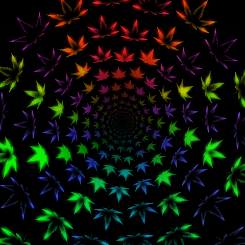 Weed Drugs GIF - Find & Share on GIPHY