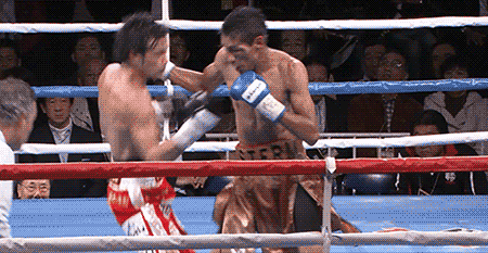 Boxing Animated GIF