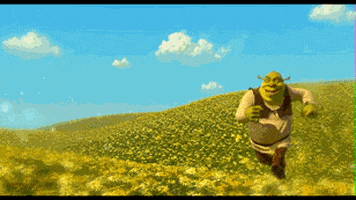 Shrek GIF - Find & Share on GIPHY