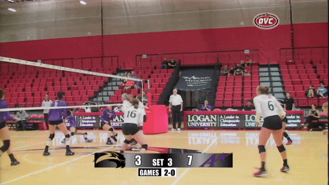 Celebration Volleyball GIF by SIUE Cougars - Find & Share on GIPHY