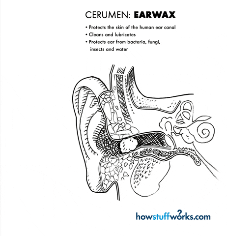 Earwax GIFs - Find & Share on GIPHY