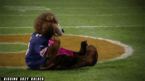 Bears GIF - Find & Share on GIPHY