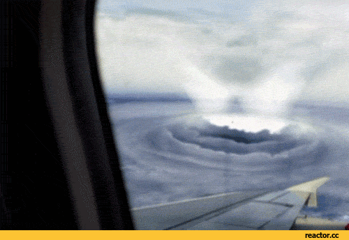 Hurricane Window GIFs - Find & Share on GIPHY