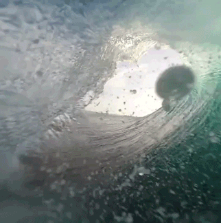 Surf Surfing GIF - Find & Share on GIPHY