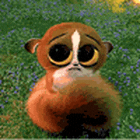 Lemur GIFs - Find & Share on GIPHY