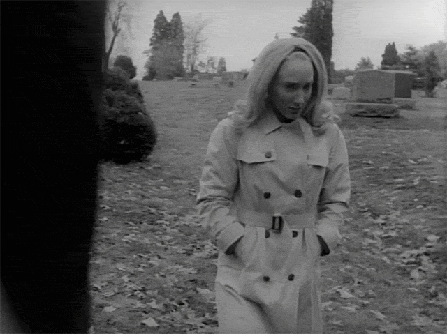Night Of The Living Dead Find And Share On Giphy