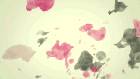 Watercolor GIF - Find & Share on GIPHY