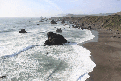 Place Coast GIF - Find & Share on GIPHY