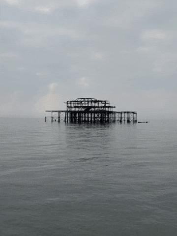 Brighton GIFs - Get the best GIF on GIPHY