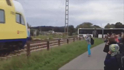Train GIF - Find & Share on GIPHY