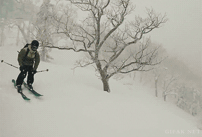 Tree Fail GIF - Find & Share on GIPHY