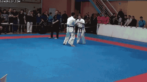 Knock Out Karate GIF by Cheezburger - Find & Share on GIPHY
