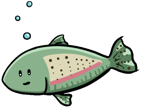 Fish Trout Sticker for iOS & Android | GIPHY