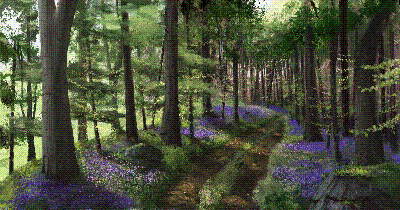 Woods GIFs - Find & Share on GIPHY