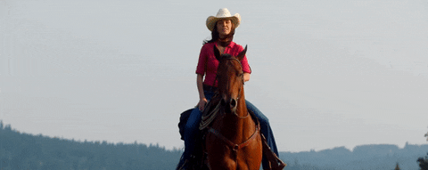 Michelle Morgan Horse GIF by tvshowpilot.com - Find & Share on GIPHY