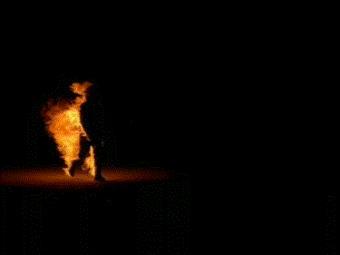On Fire GIF - Find & Share on GIPHY