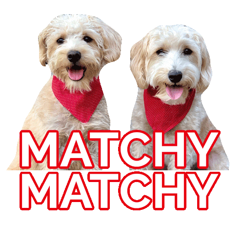 Nala Twinning Sticker for iOS & Android | GIPHY