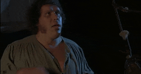 The Princess Bride GIF - Find & Share on GIPHY
