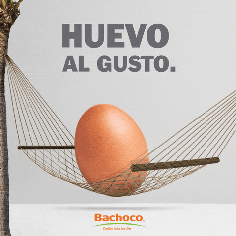 Bachoco GIF - Find & Share on GIPHY