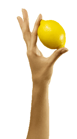 Lemon Perfect Sticker for iOS & Android | GIPHY