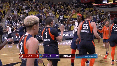 Womens Basketball Sport GIF by WNBA - Find & Share on GIPHY