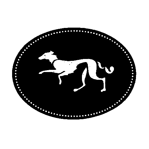 Logo Books Sticker by Alfred A. Knopf for iOS & Android | GIPHY