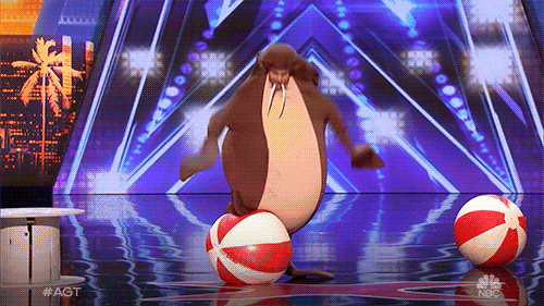 Agt GIF by America's Got Talent - Find & Share on GIPHY