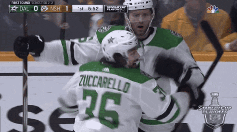 Happy 2019 Stanley Cup Playoffs GIF by NHL - Find & Share on GIPHY
