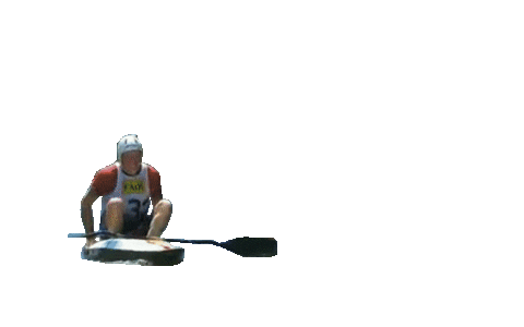 Celebration Kayaking Sticker by CanoeLaSeu for iOS & Android | GIPHY