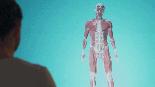 Art 3D GIF - Find & Share on GIPHY