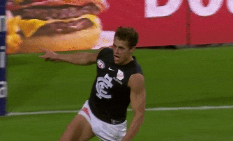 Carlton Blues Ed GIF by Carlton Football Club - Find & Share on GIPHY