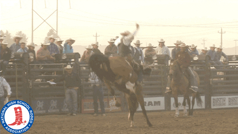 National High School Rodeo GIF - Find & Share on GIPHY