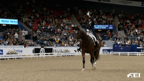 FEI Global GIF - Find & Share on GIPHY