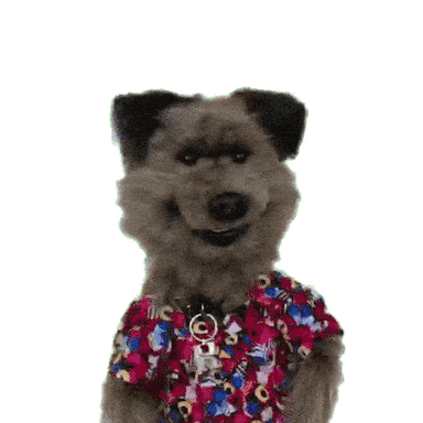 Mash Up Dog Sticker by CBBC for iOS & Android | GIPHY