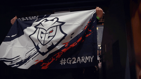 League Of Legends G2Army GIF by G2 Esports - Find & Share on GIPHY