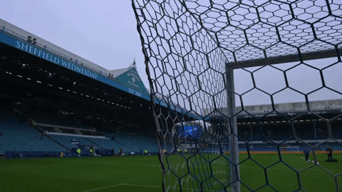 Goals Stadium GIF by Sheffield Wednesday Football Club - Find & Share ...