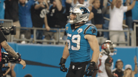 Nfl GIF by Carolina Panthers - Find & Share on GIPHY