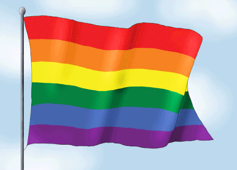 Rainbow Flag GIFs - Find & Share on GIPHY