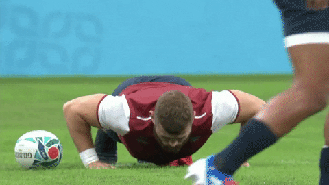 GIF by Rugby World Cup - Find & Share on GIPHY