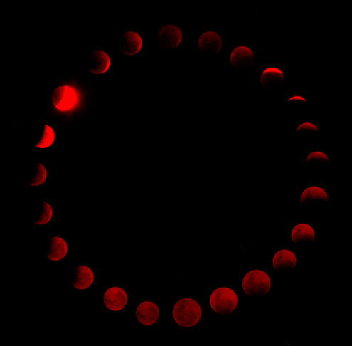 Blood Moon Dark GIF - Find & Share on GIPHY