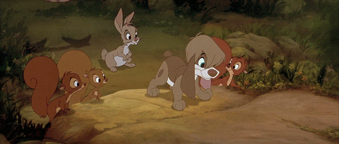 Pooka GIFs - Find & Share on GIPHY