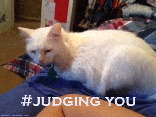 Austin Mahone Judging You GIF - Find & Share on GIPHY