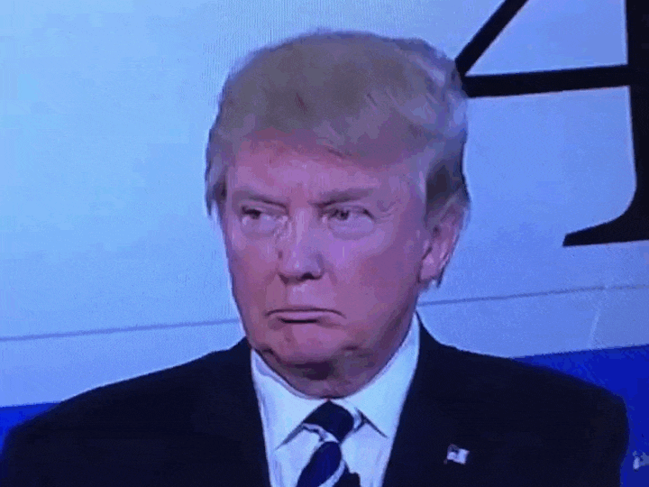 Donald Trump GIF - Find & Share on GIPHY