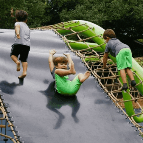 Parks GIF by Dallas Park and Recreation - Find & Share on GIPHY